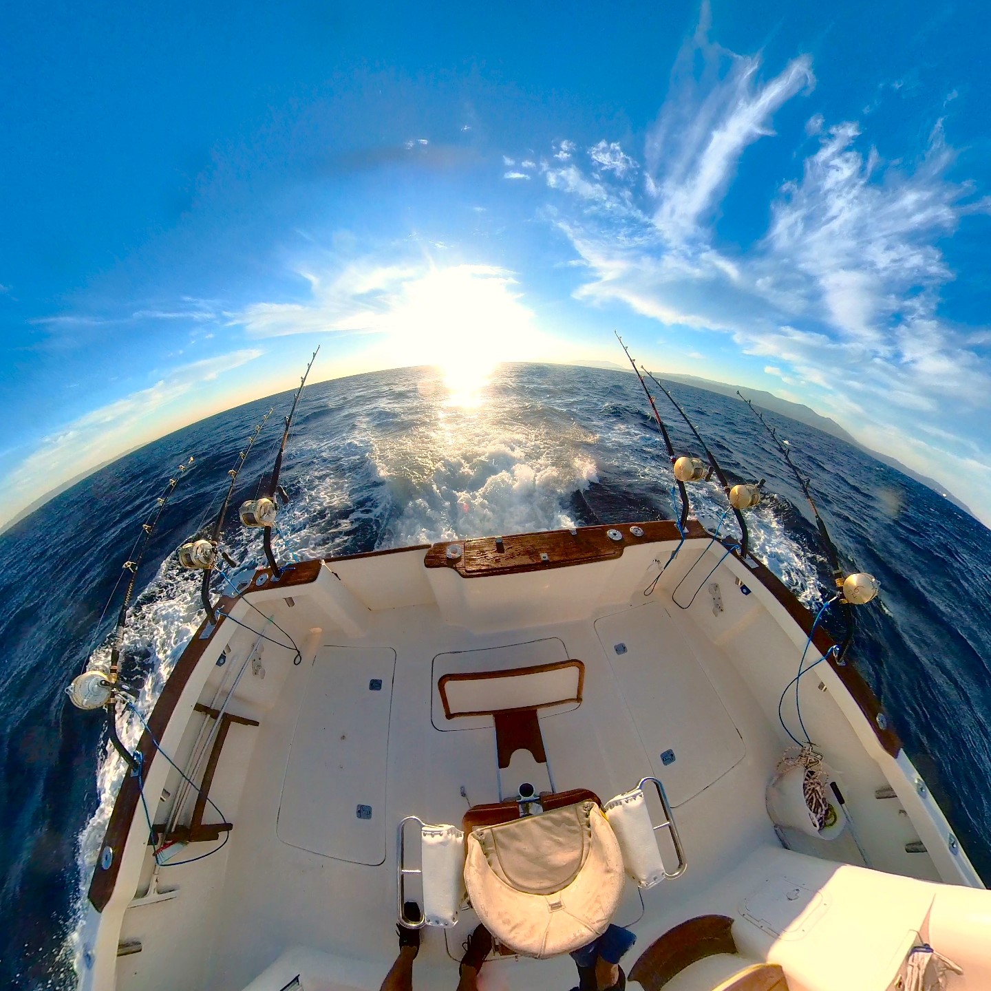 Charter de Pesca del Atún Rojo en el Estrecho de Gibraltar